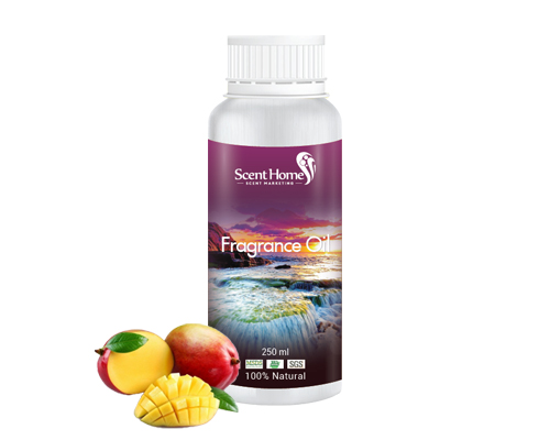 Scent Homes Vietnam - The Scent Elevate Your Brand