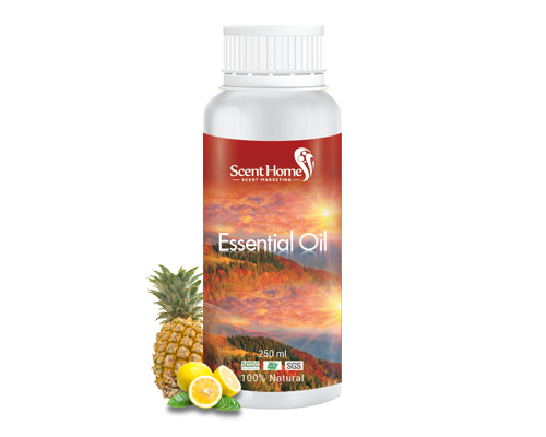 Scent Homes Vietnam - The Scent Elevate Your Brand